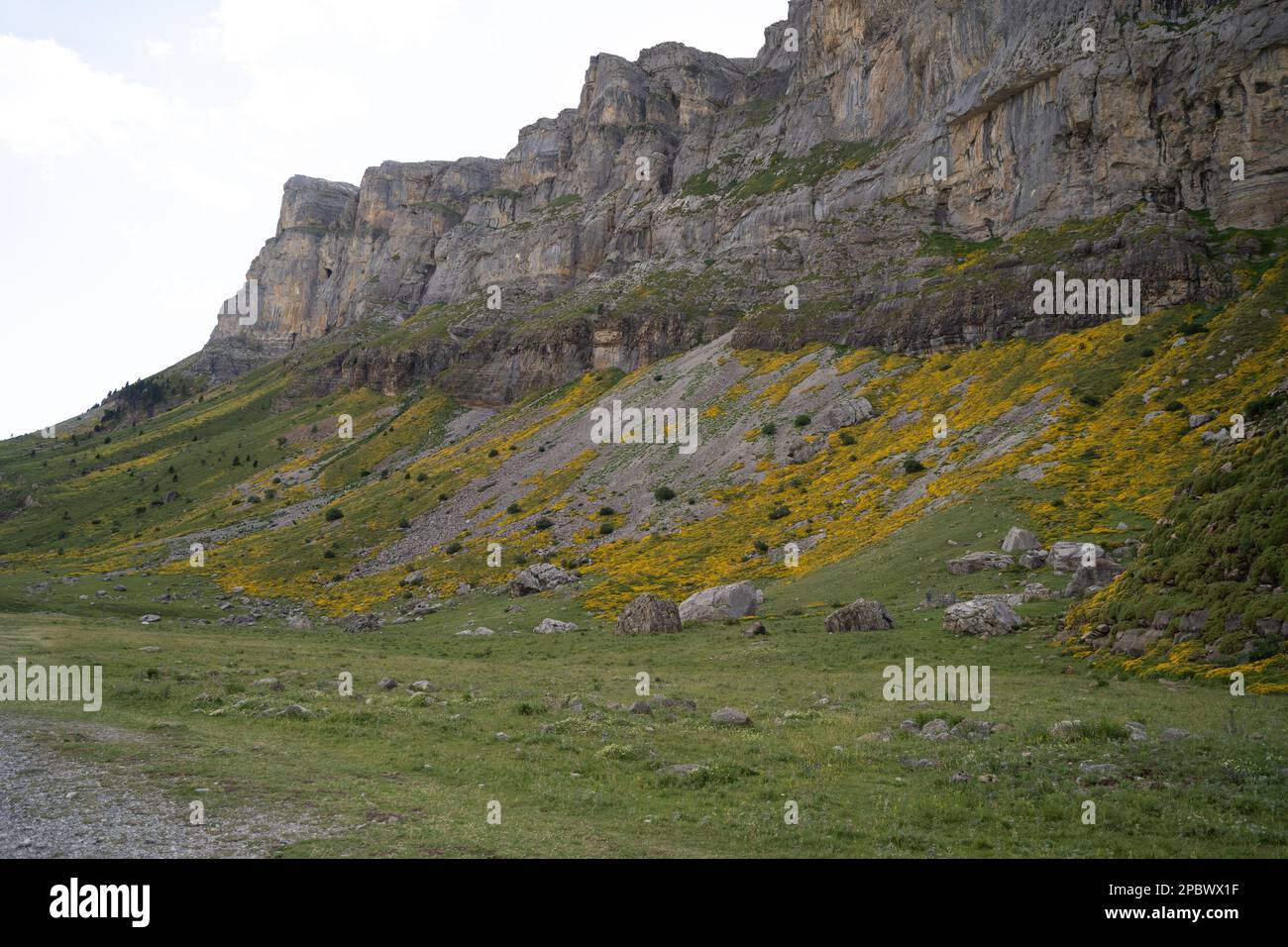 Mountain Canyon walls in the forests of Ordesa National Park in the ...