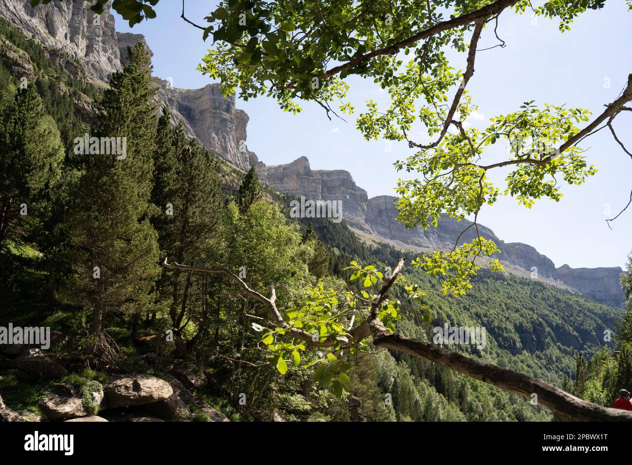Mountain Canyon walls in the forests of Ordesa National Park in the ...