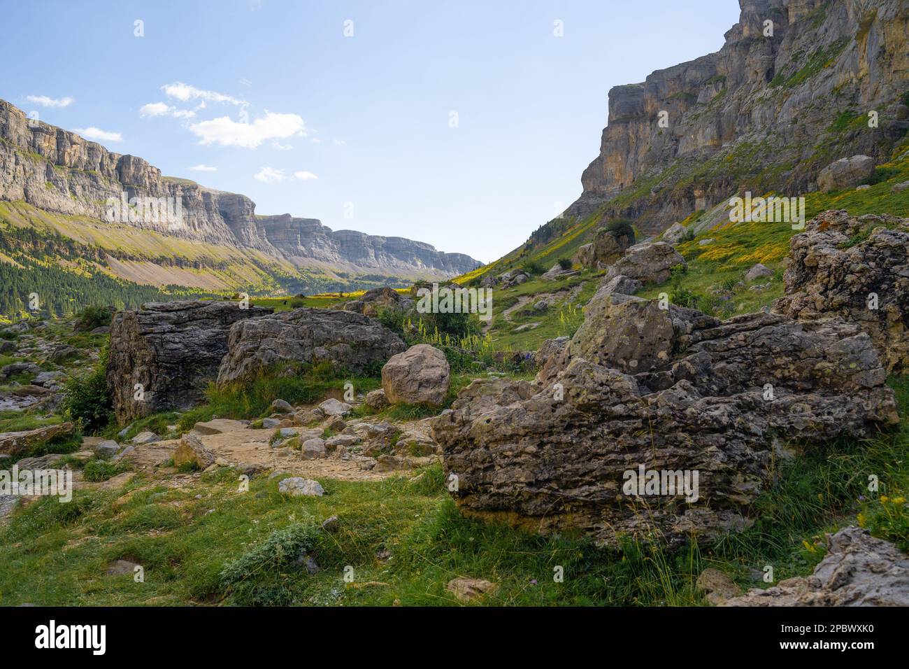 Mountain Canyon walls in the forests of Ordesa National Park in the ...
