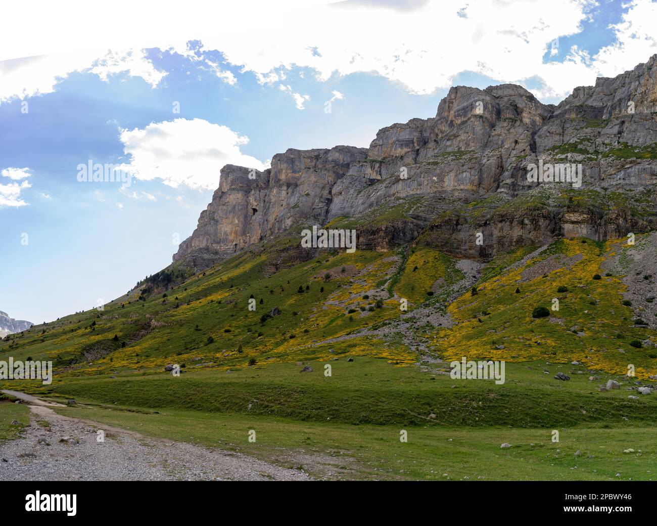 Mountain Canyon walls in the forests of Ordesa National Park in the ...