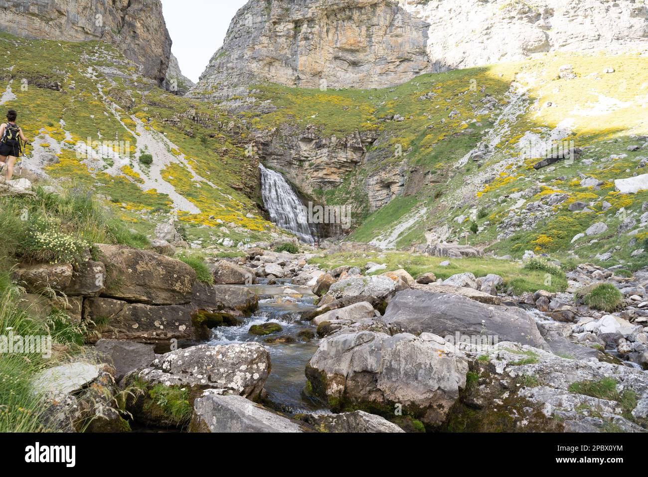 trekker woman and her dog approaching a river waterfall in Ordesa ...