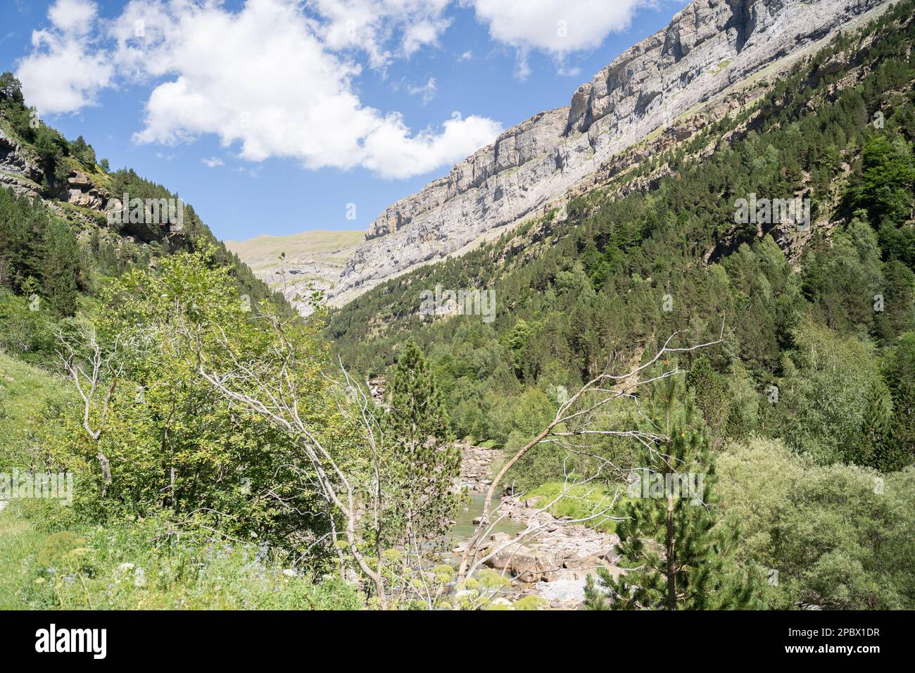 Mountain Canyon walls in the forests of Ordesa National Park in the ...