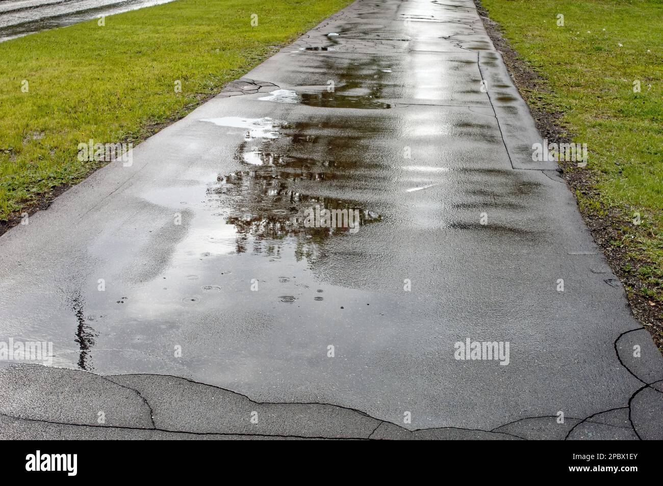 asphalt path in the rain, in spring Stock Photo - Alamy