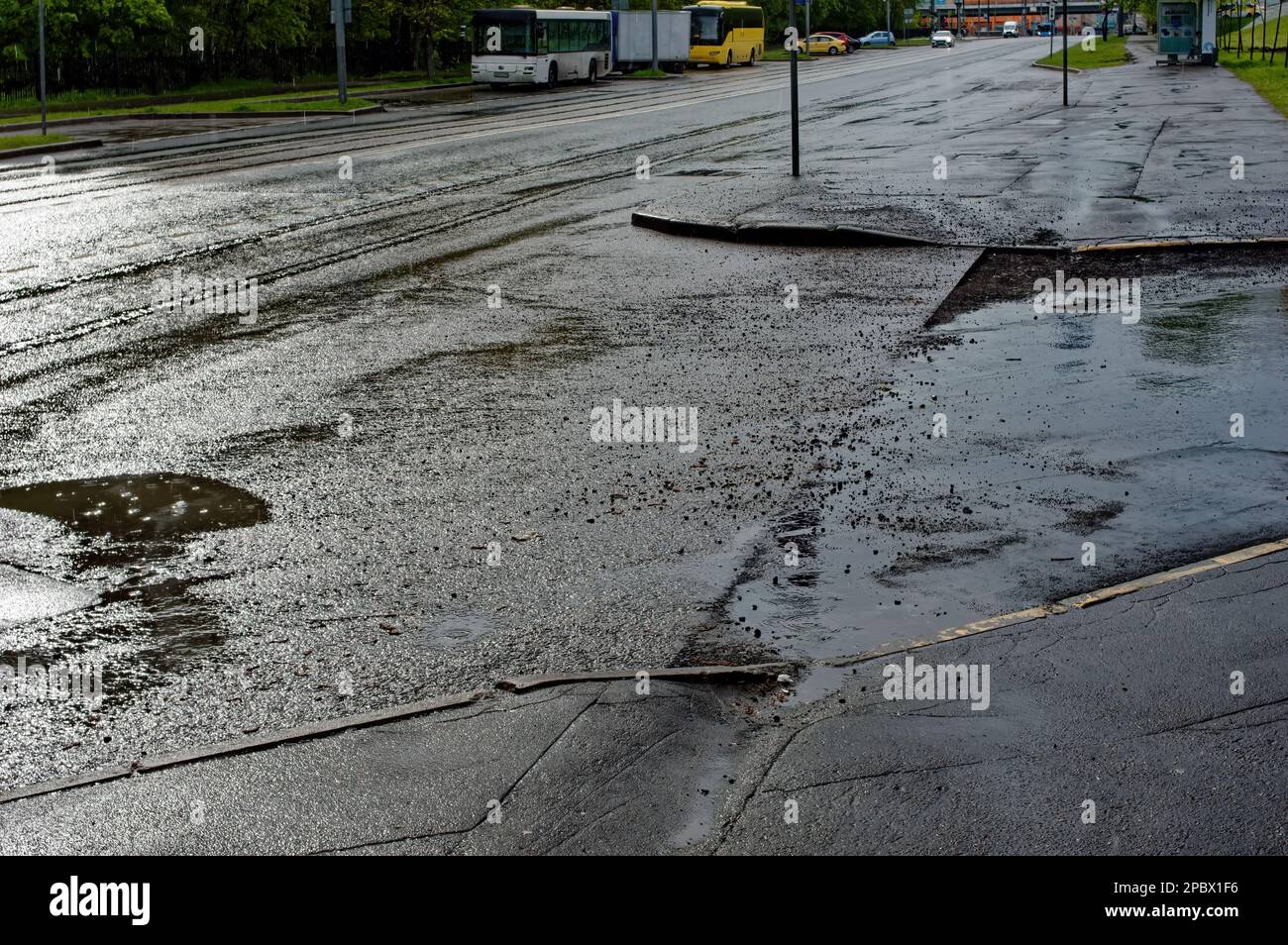 asphalt path in the rain, in spring Stock Photo - Alamy