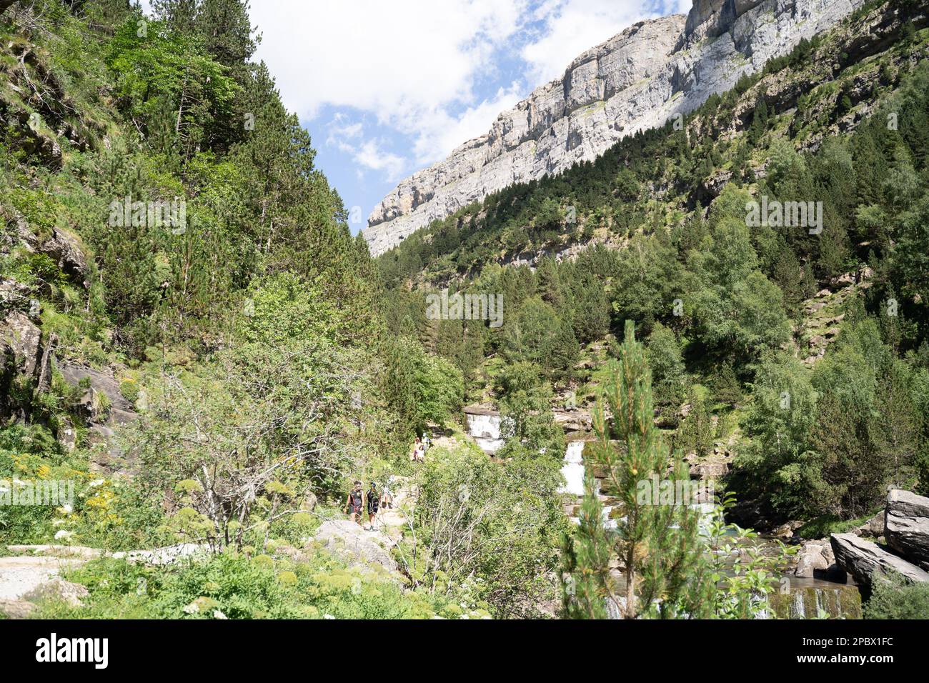 Mountain Canyon walls in the forests of Ordesa National Park in the ...