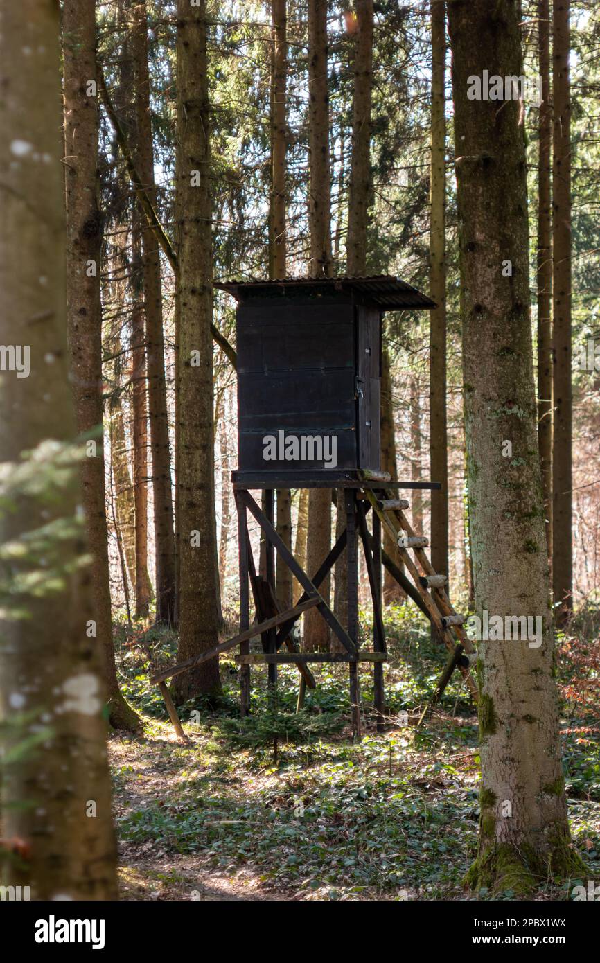 Lookout post or deer watch tower in a forest in Europe. Day time, early ...
