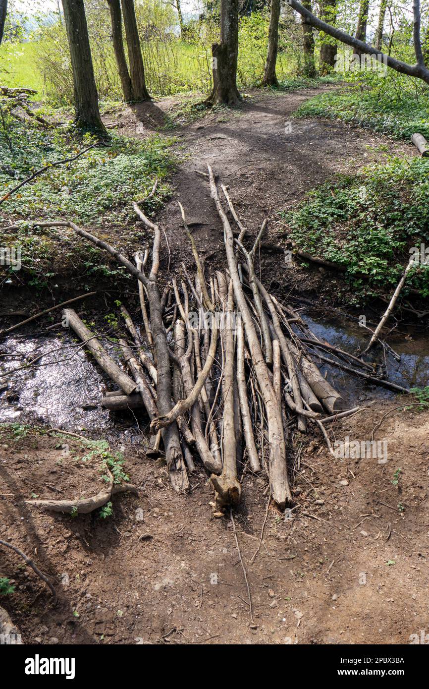 Small makeshift wood bridge over a forest water stream. Made out tree ...