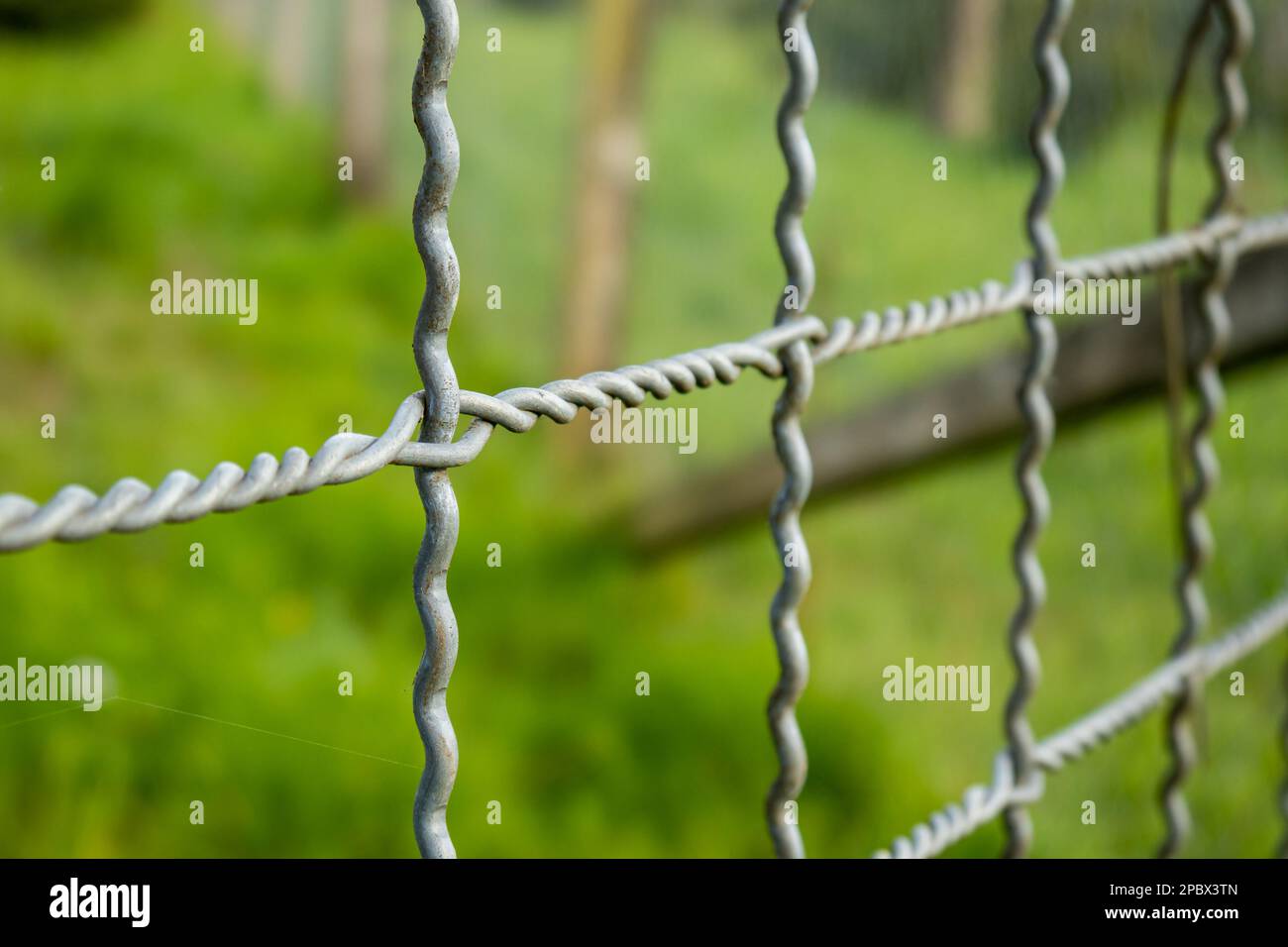Woven metal wire mash grid fence outdoor. Close up shot, green ...