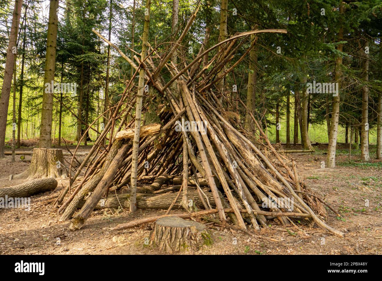 Man made wooden stick teepee or hut in a forest. Close up wide angle ...