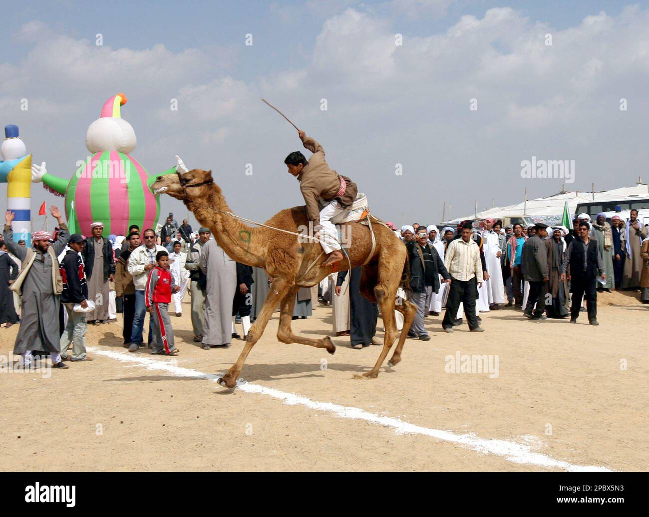 A camel racer crosses the finish line in a race during the two-day 9th ...