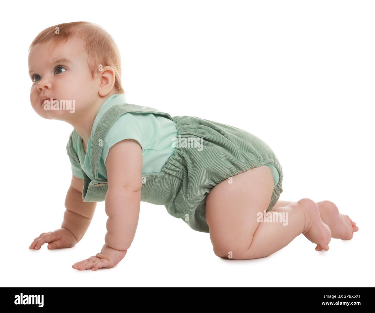Cute little baby crawling on white background Stock Photo - Alamy