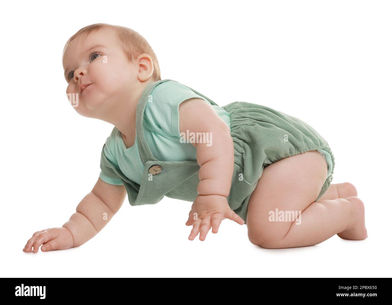 Cute little baby crawling on white background Stock Photo - Alamy