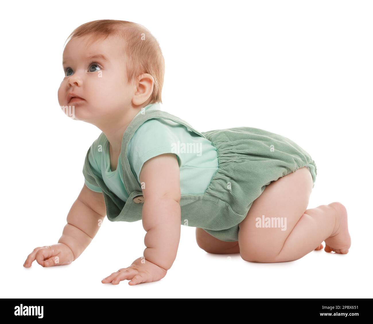 Cute little baby crawling on white background Stock Photo - Alamy