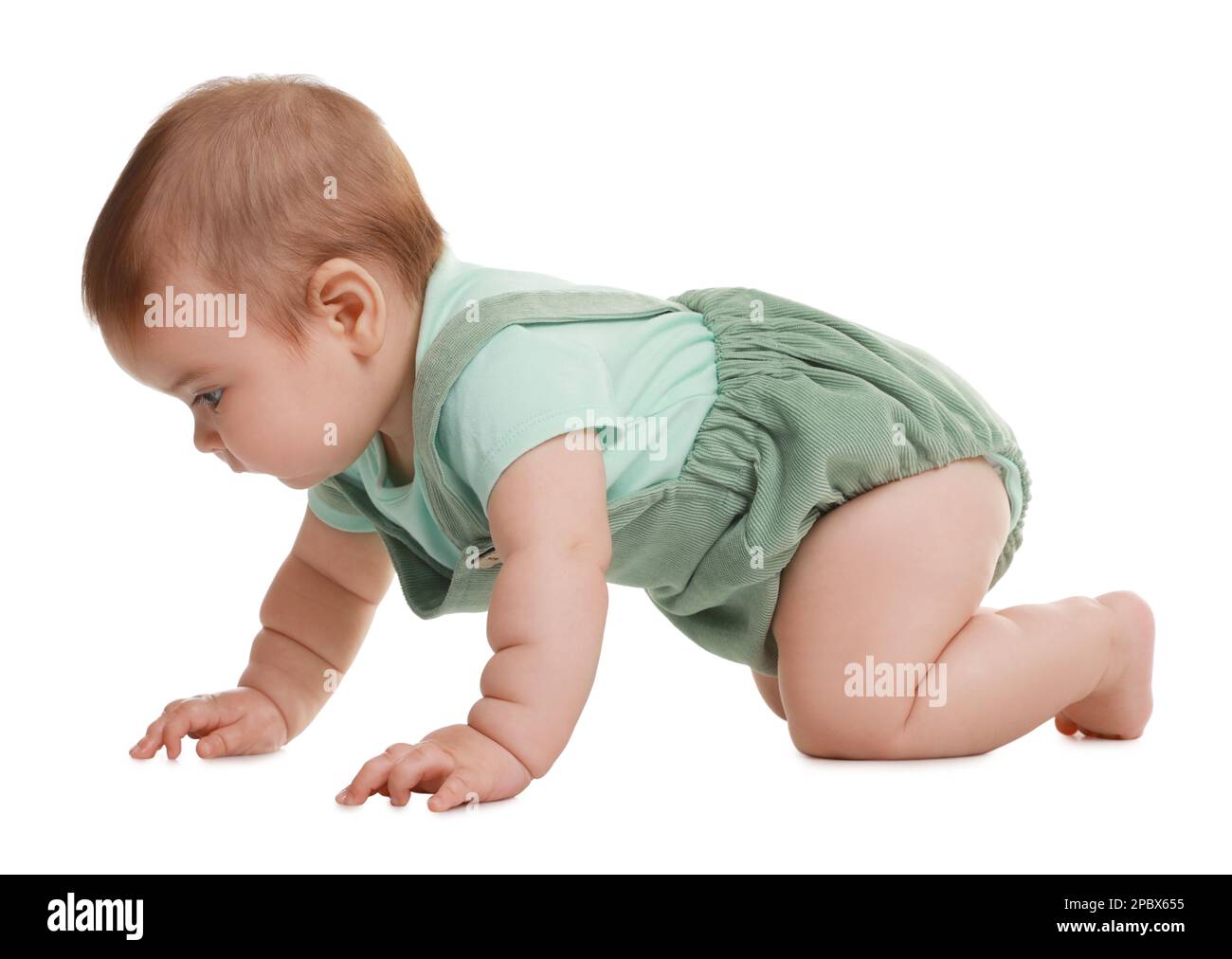 Cute little baby crawling on white background Stock Photo - Alamy