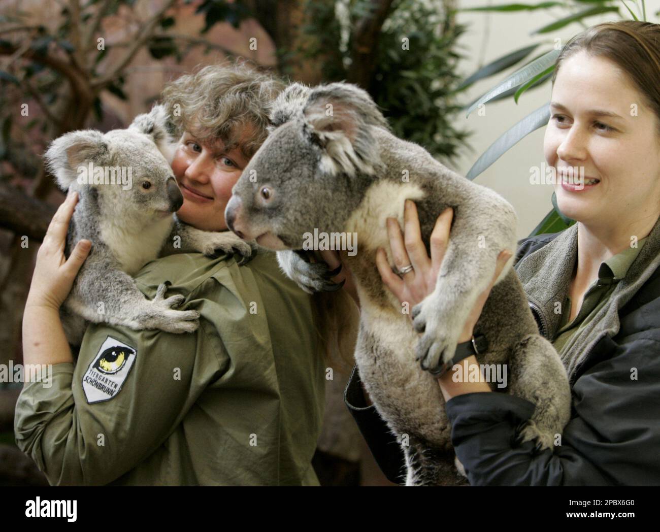 Tierpflegerin Simona Gabrisova mit Koala-Dame Mirra Li, links, und ...