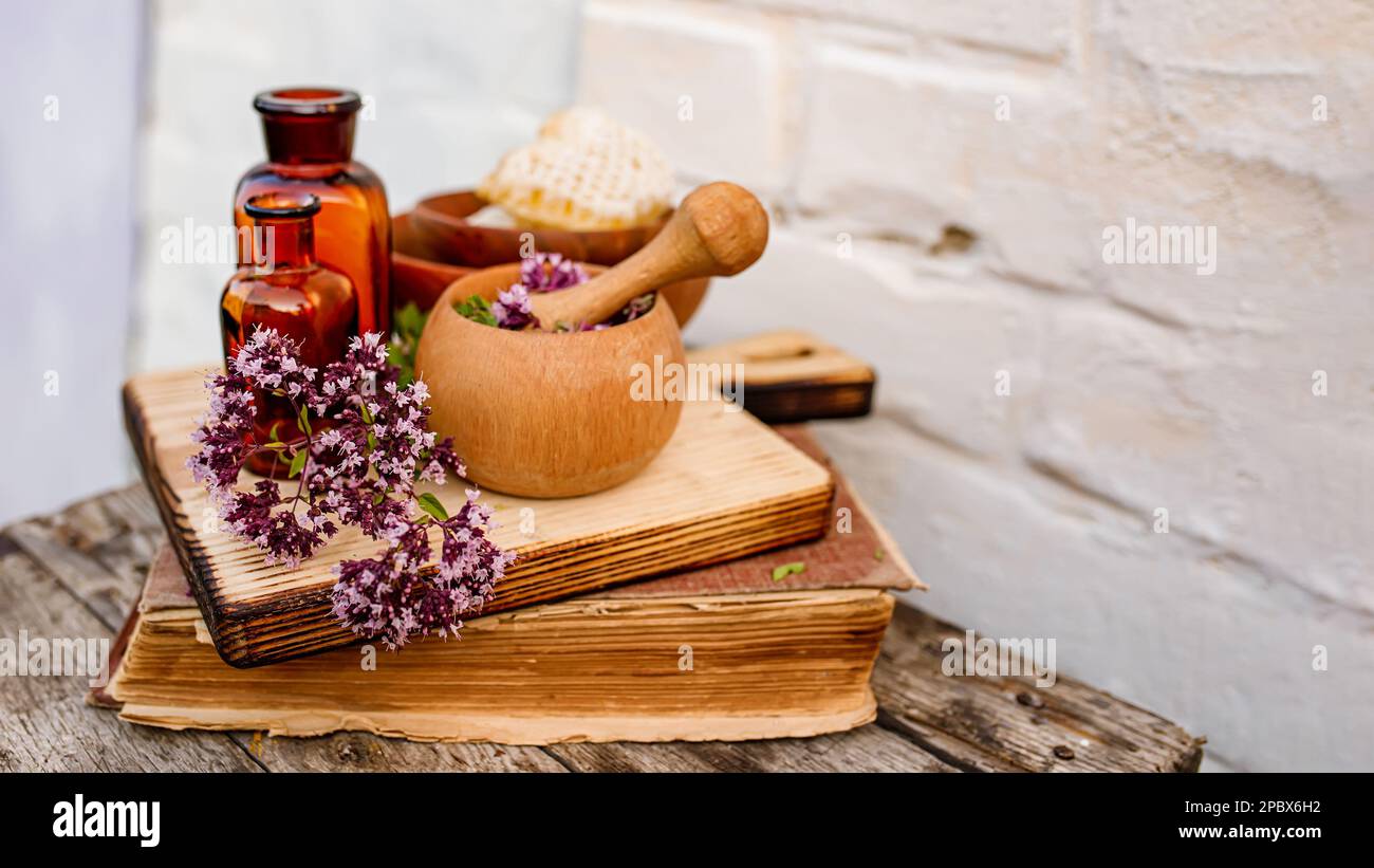 Oregano, Collect valuable flowers Origanum vulgare from moment of ...