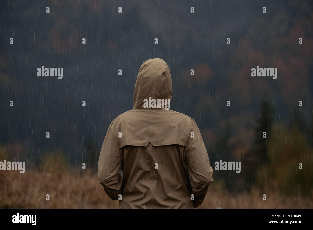 Woman in raincoat enjoying mountain landscape under rain, back view ...