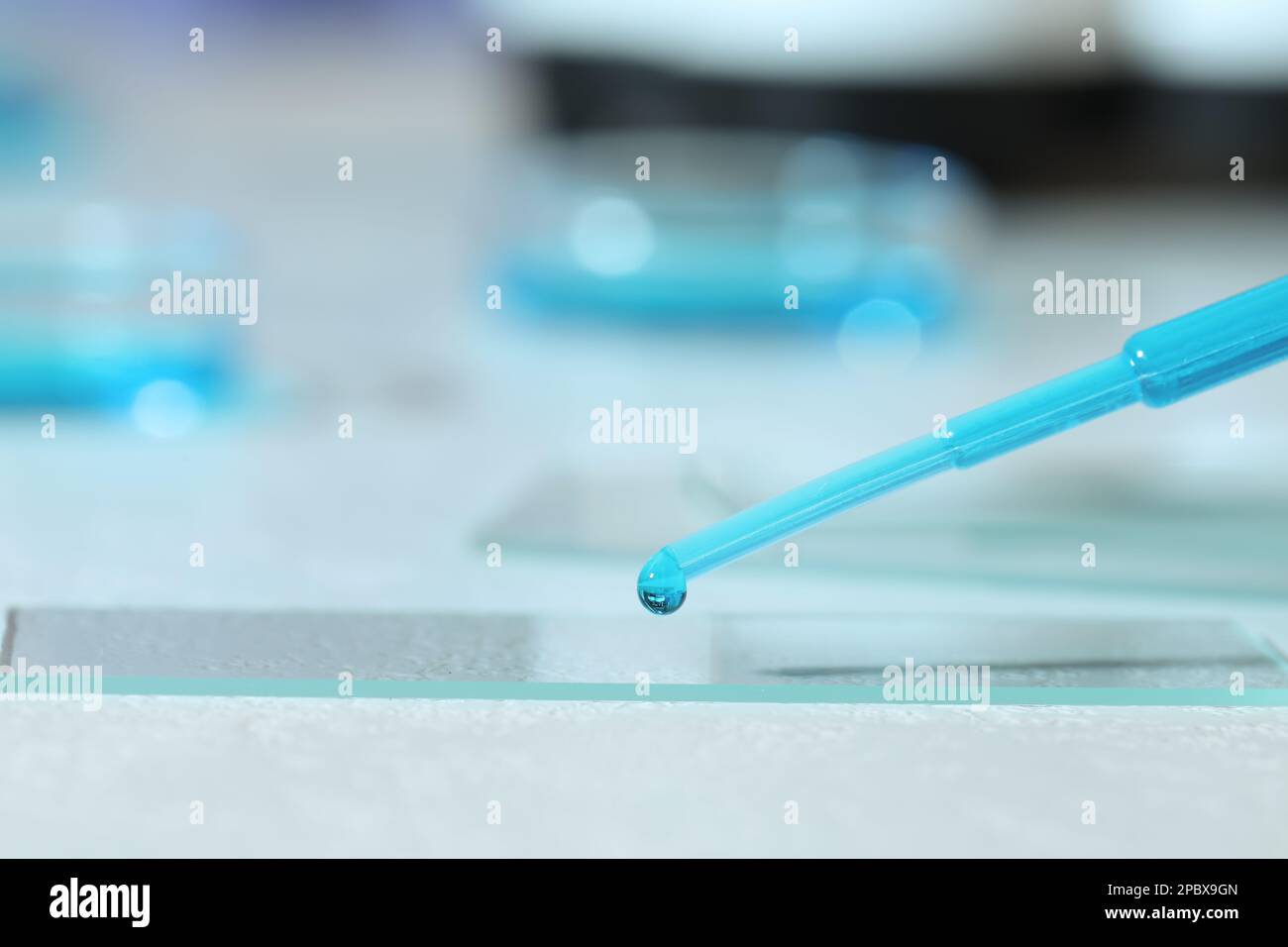 Dripping sample of light blue liquid onto microscope slide on white ...