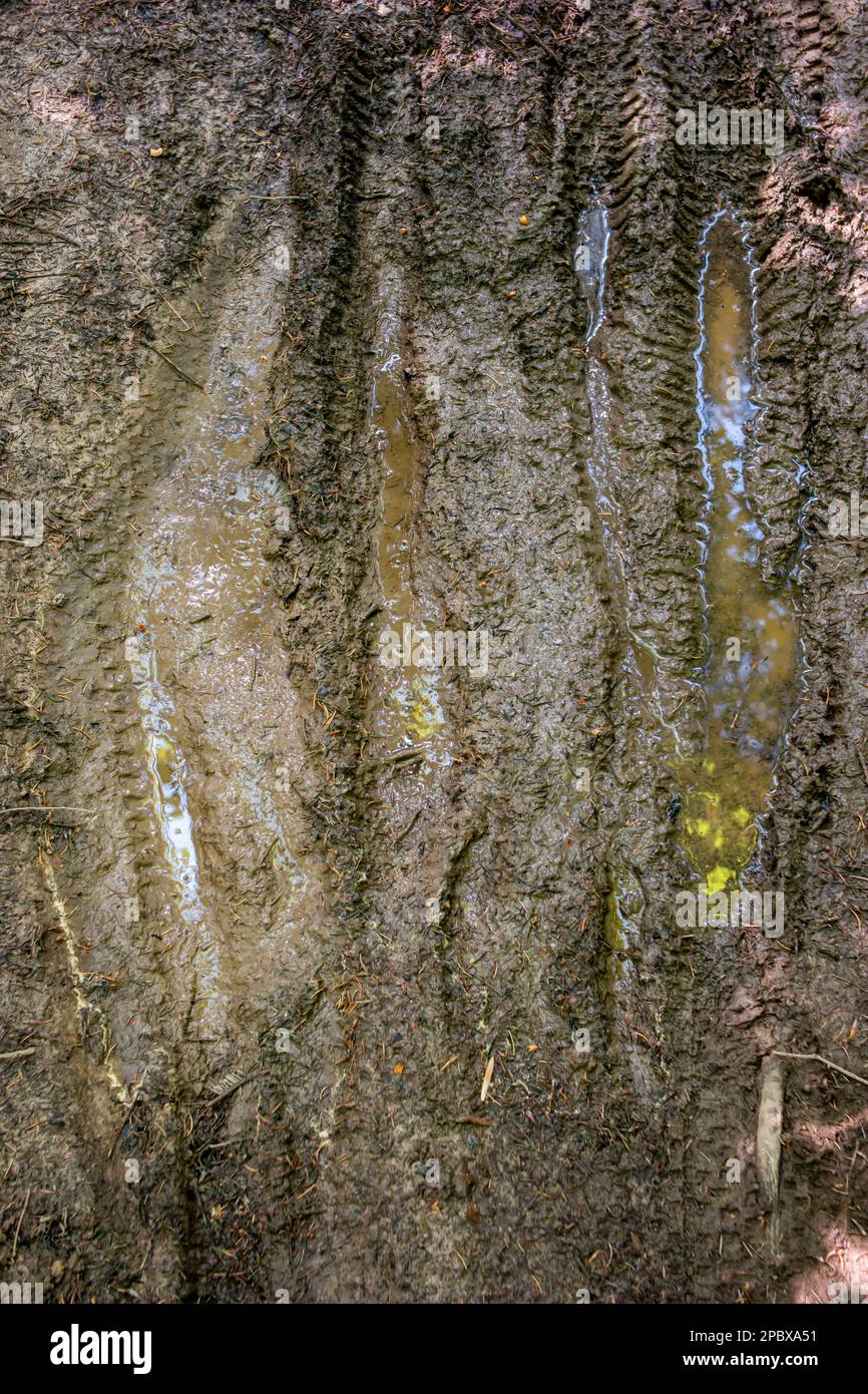 Deep puddle on a dirty road hi-res stock photography and images - Alamy