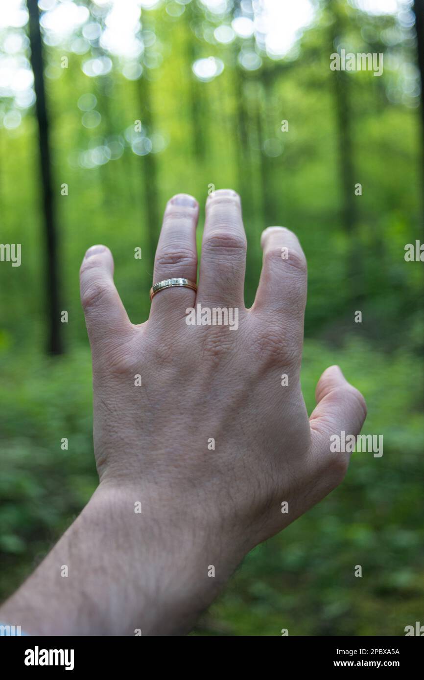 Giving nature a helping hand hi-res stock photography and images - Alamy