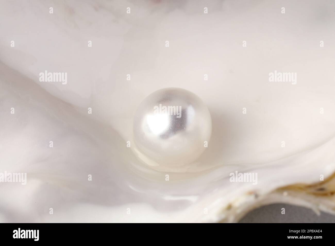 Open oyster with white pearl, closeup view Stock Photo - Alamy