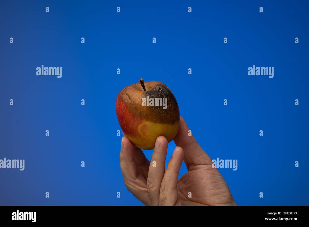 Half rotten hi-res stock photography and images - Alamy