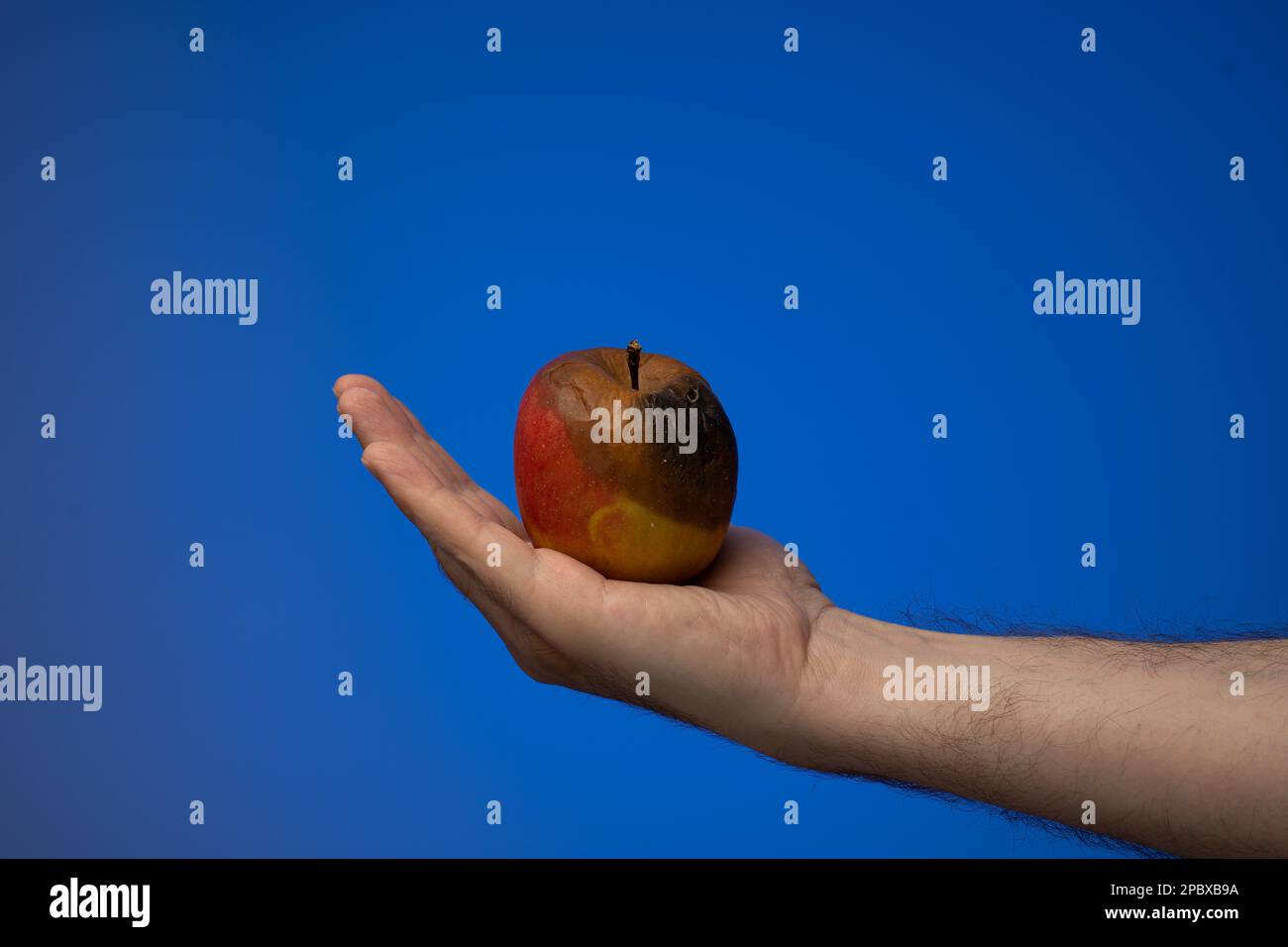 Half rotten hi-res stock photography and images - Alamy