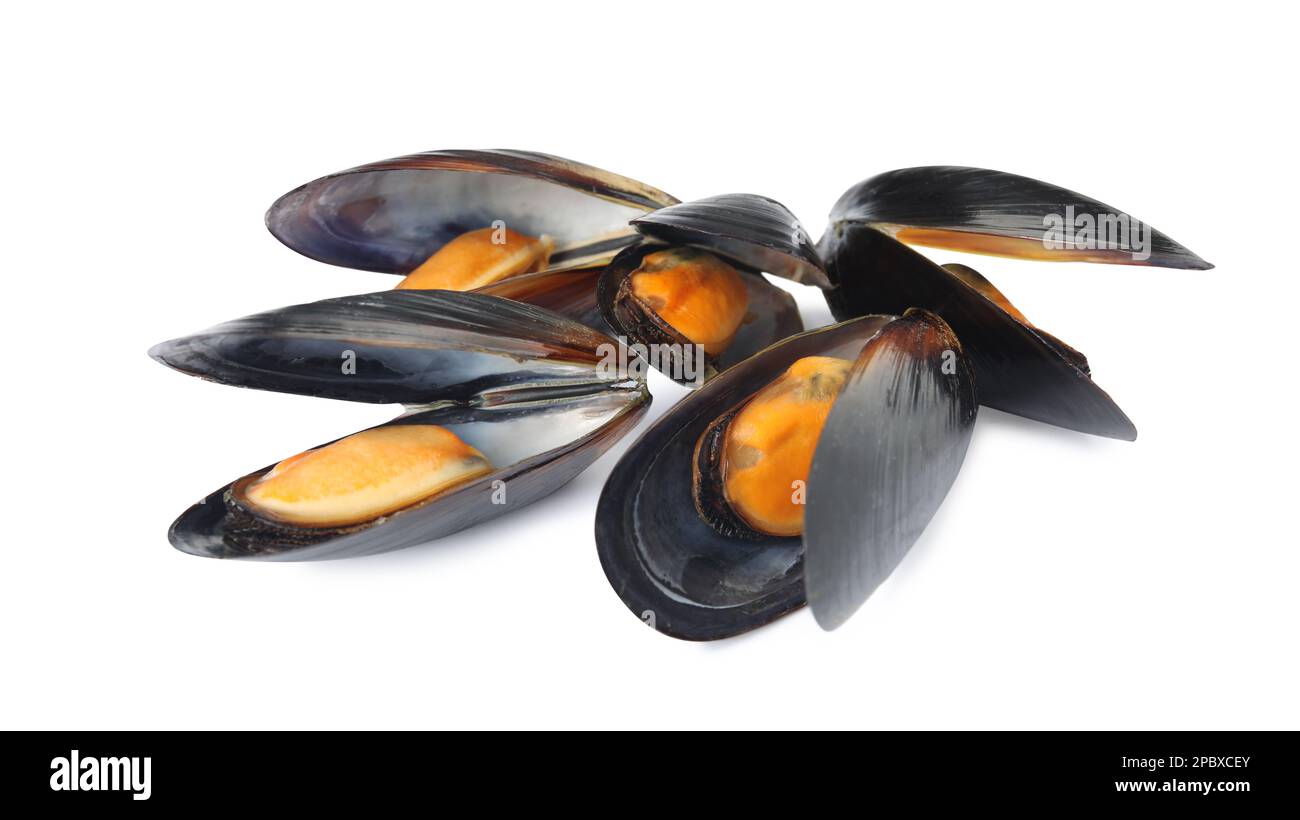 Delicious cooked mussels in shells on white background Stock Photo - Alamy