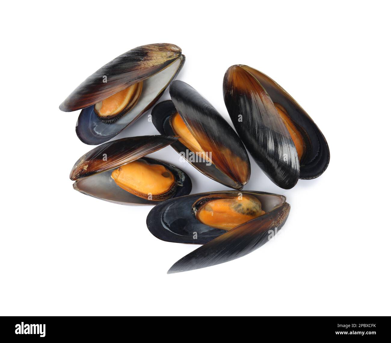Delicious cooked mussels in shells on white background, top view Stock ...