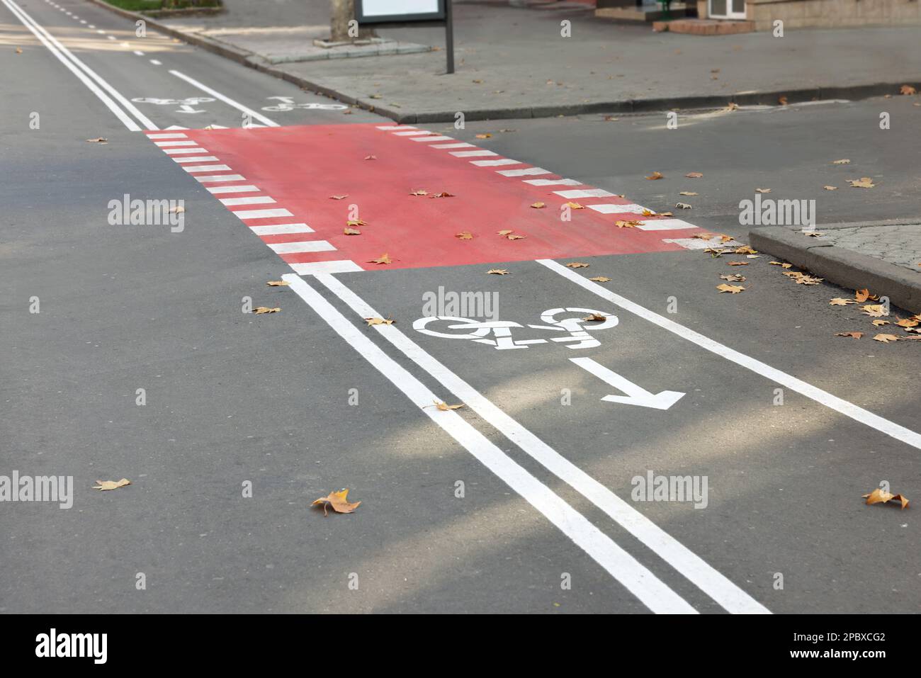 Two way bicycle lane with white signs crossing road Stock Photo - Alamy
