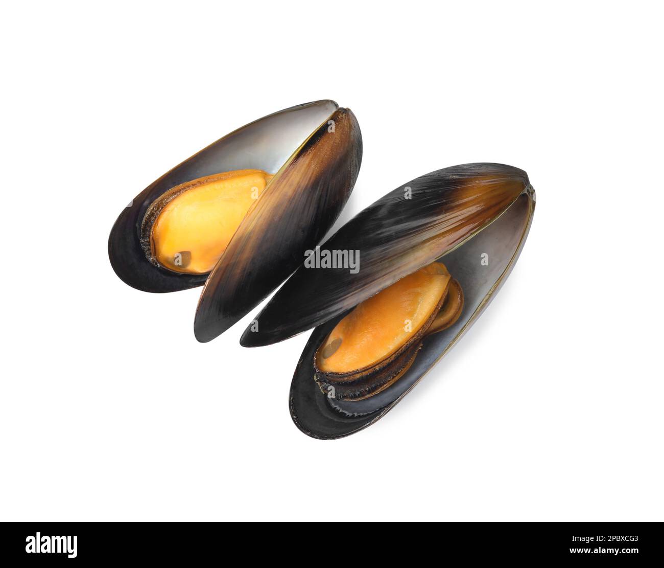 Delicious cooked mussels in shells on white background, top view Stock ...