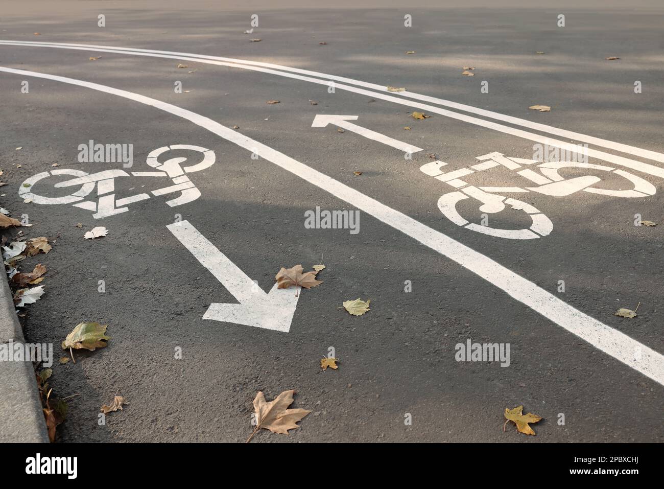Two way bicycle lane with white signs on asphalt Stock Photo - Alamy