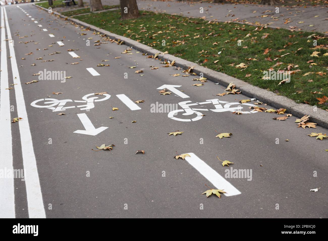 Two way bicycle lane with white signs on asphalt Stock Photo - Alamy