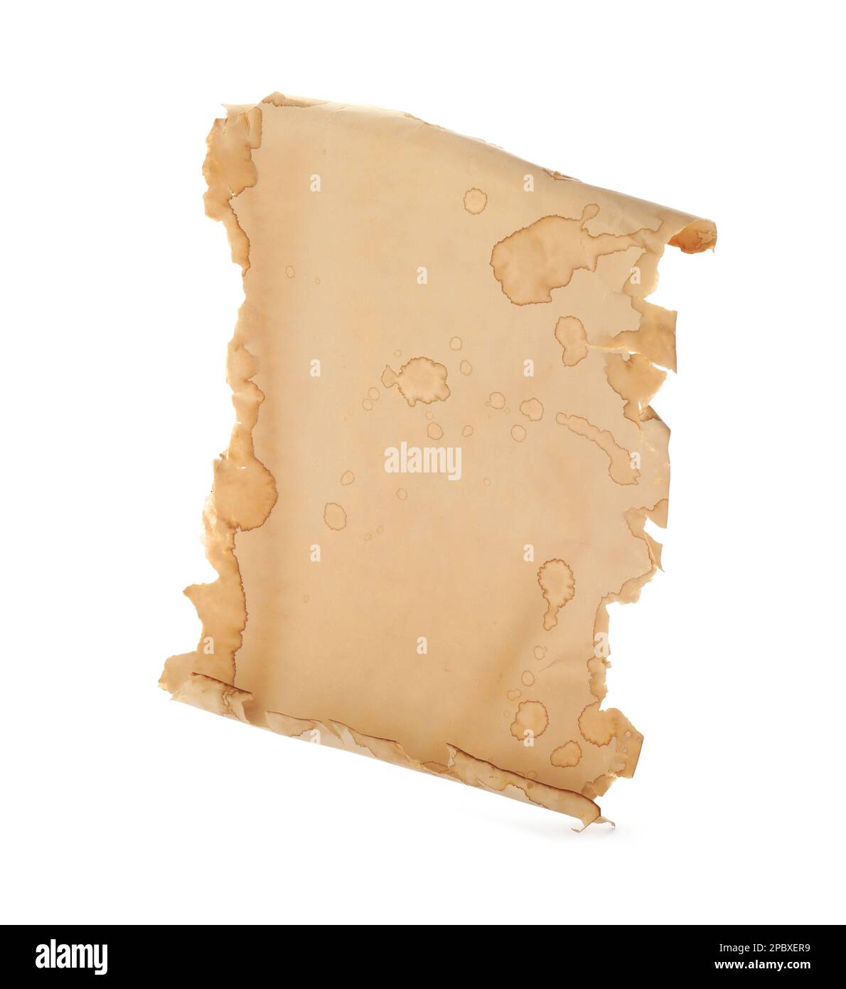 Sheet of old parchment paper isolated on white. Space for design Stock ...