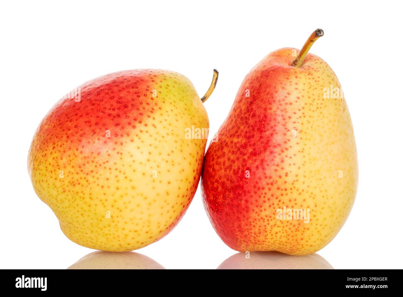 Two yellow-red pears, close-up, on a white background Stock Photo - Alamy