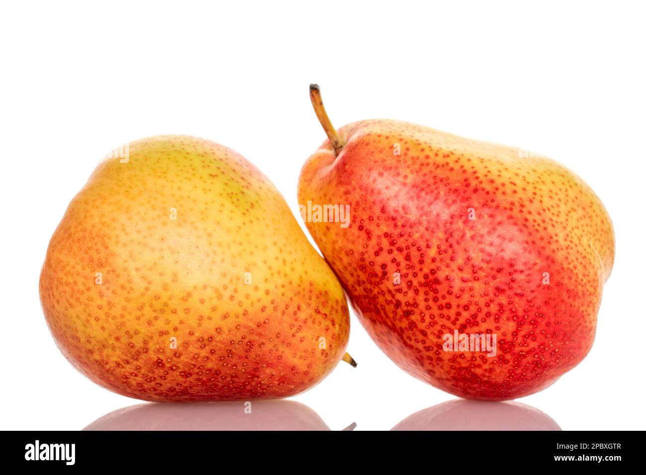 Two yellow-red pears, close-up, on a white background Stock Photo - Alamy