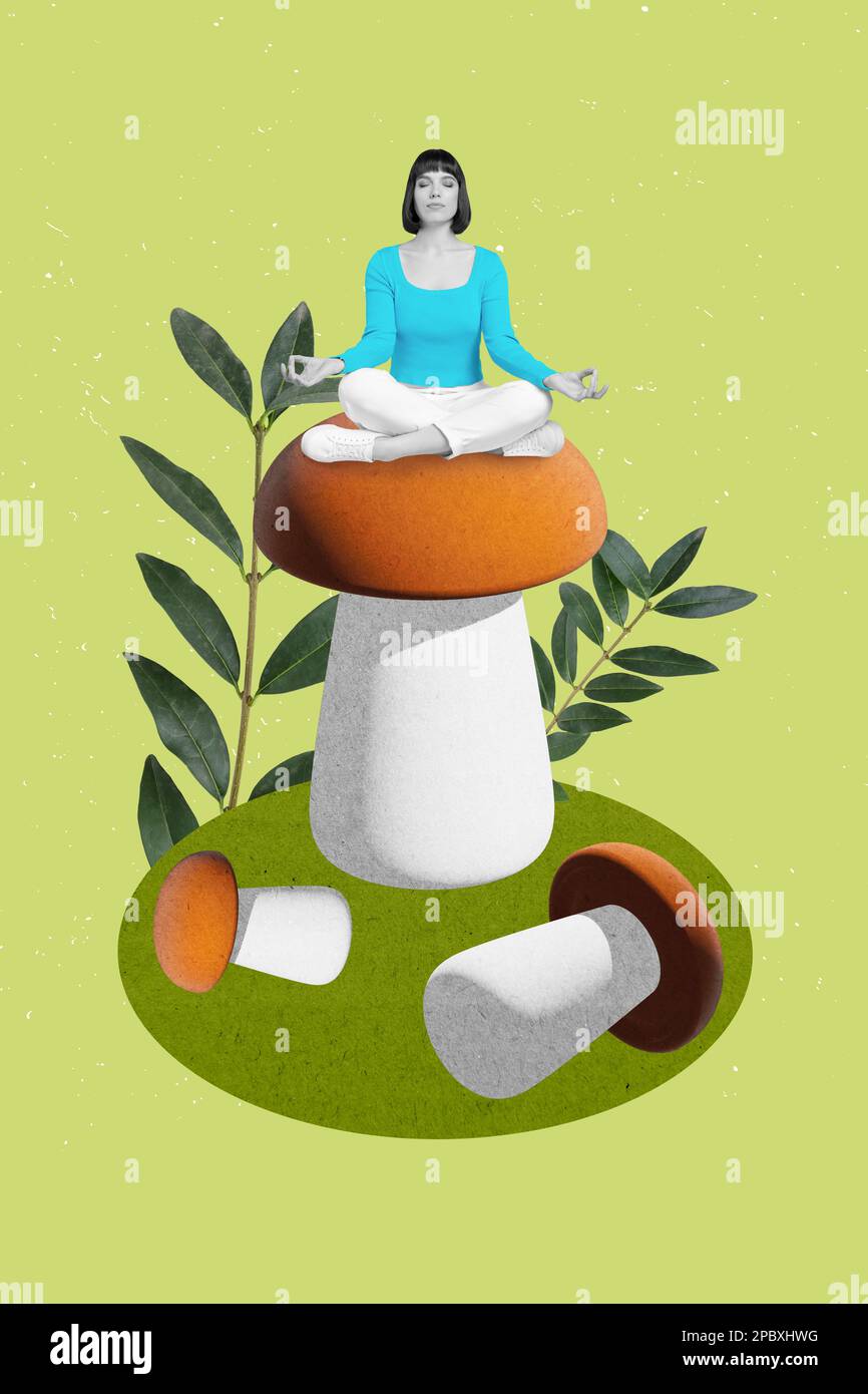 Vertical photo collage of young relaxed lonely girl asana enjoy ...