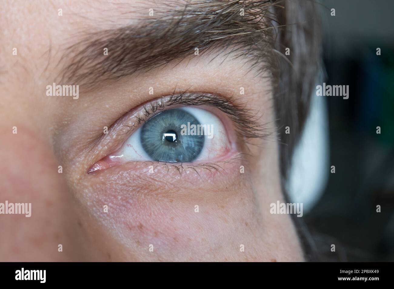 Wide open Caucasian male eye. Close up shot portrait, unrecognizable ...