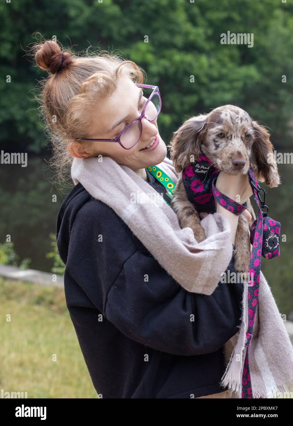 Lady holding 4 month old cocker spaniel Stock Photo - Alamy