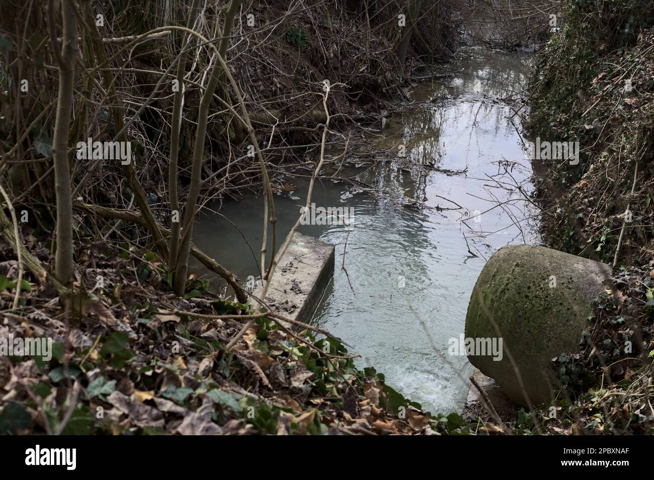 Stream of water and a concrete sewer in the countryside Stock Photo - Alamy