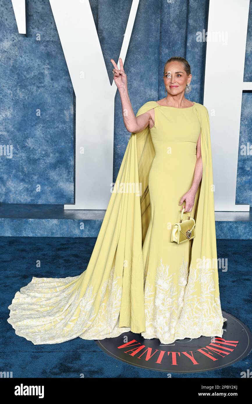 Sharon Stone 2022 Oscars