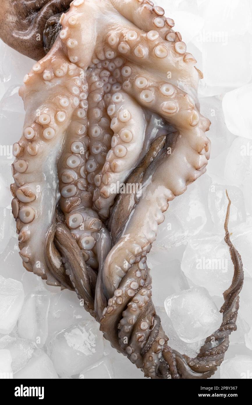 Octopus meat hi-res stock photography and images - Alamy