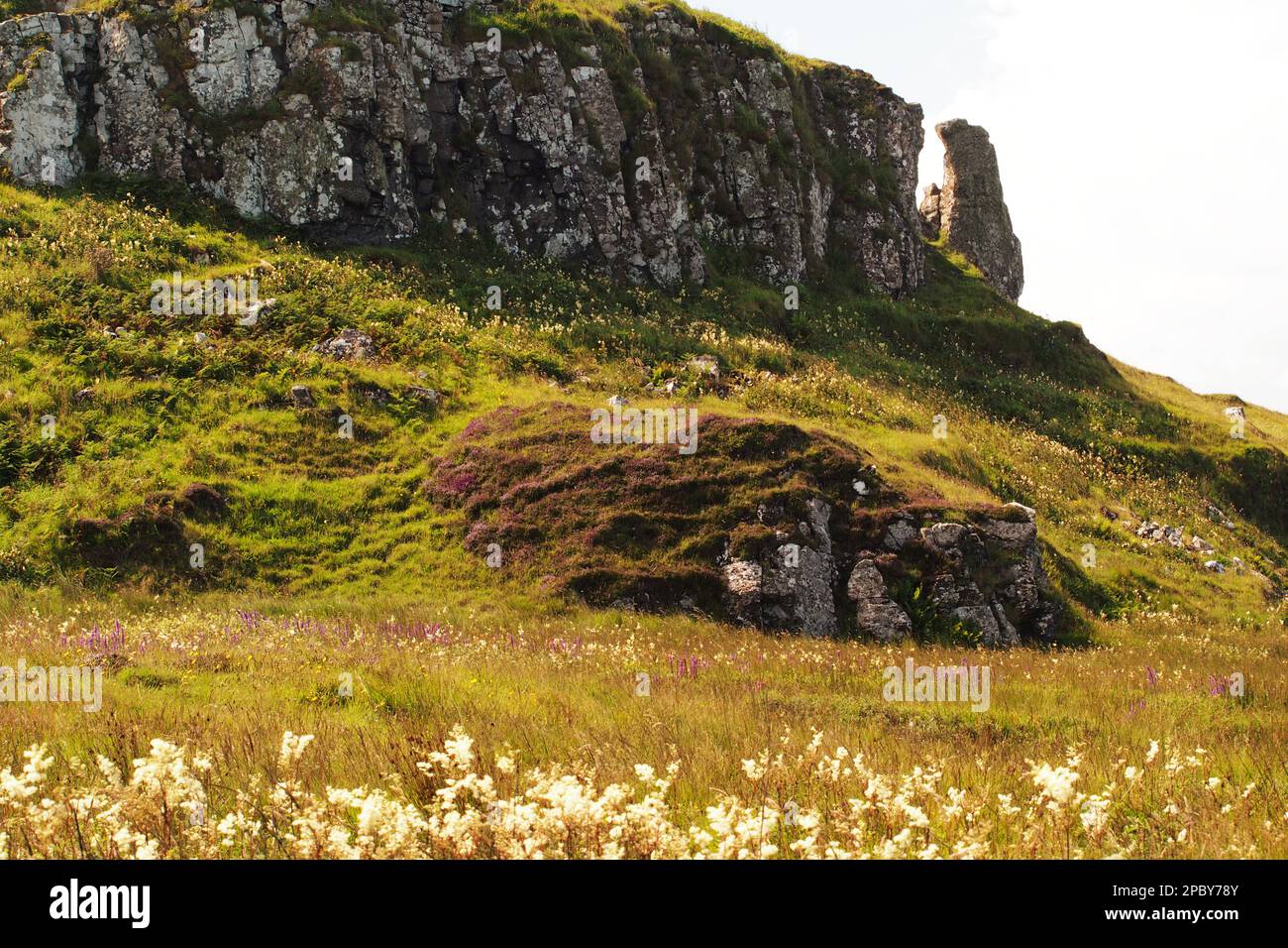 Dun Ara Castle with wlid flowers and rock formations, Mull, Scotland ...