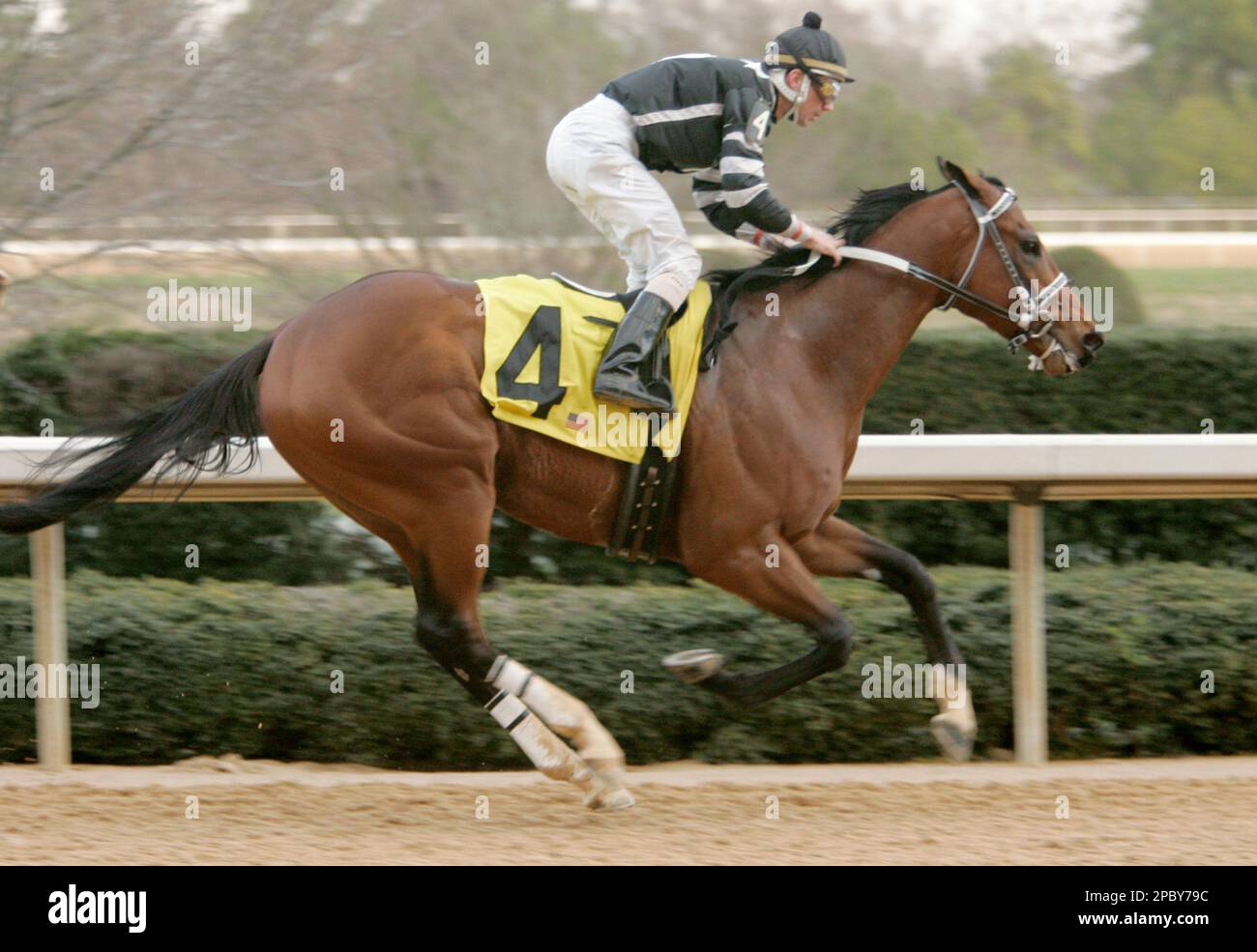 Jockey Stewart Elliott stands up on Teuflesberg after crossing the ...
