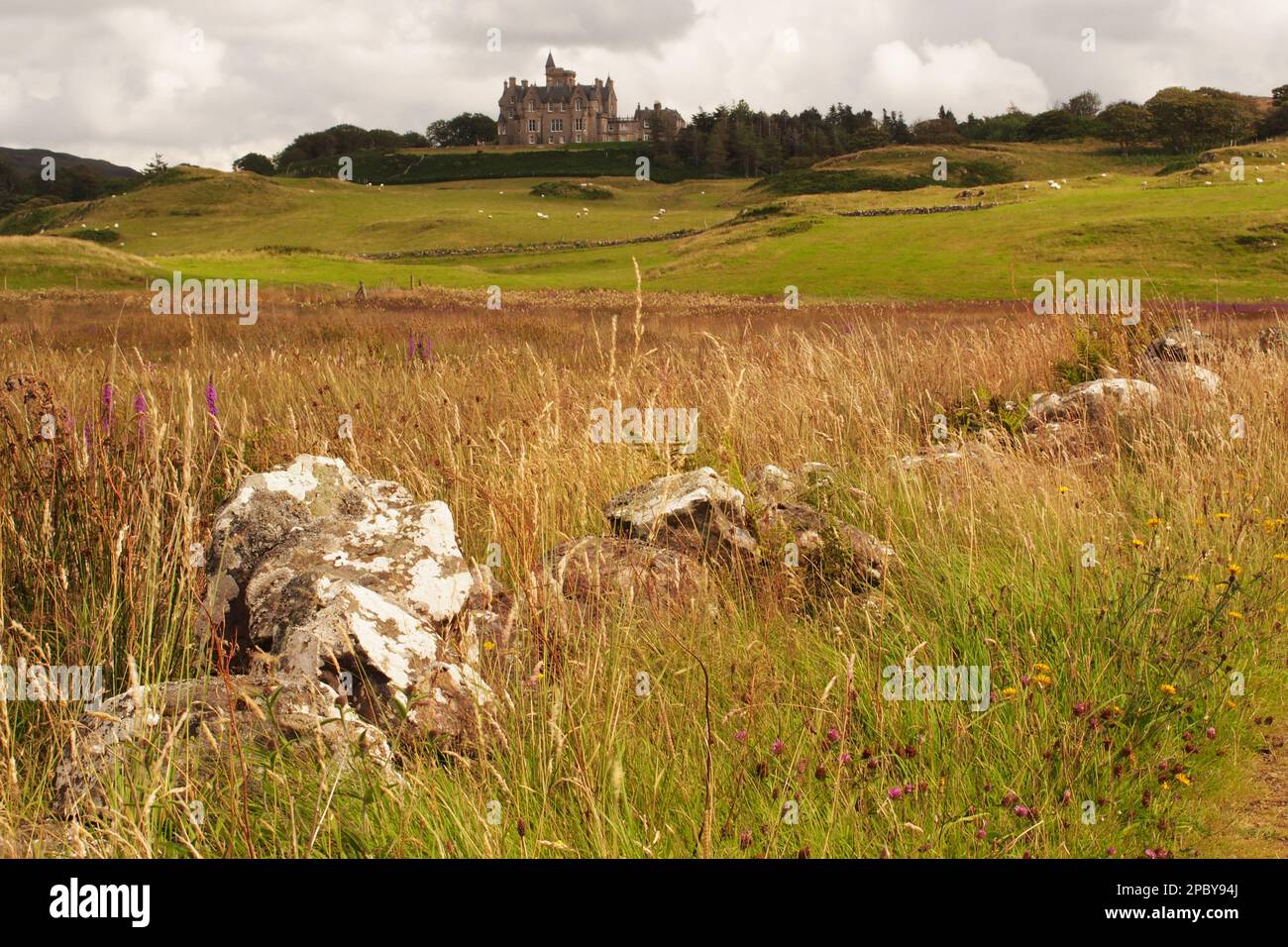 Looking up to Glengorm Castle from the wildflower meadows nearbyon a ...