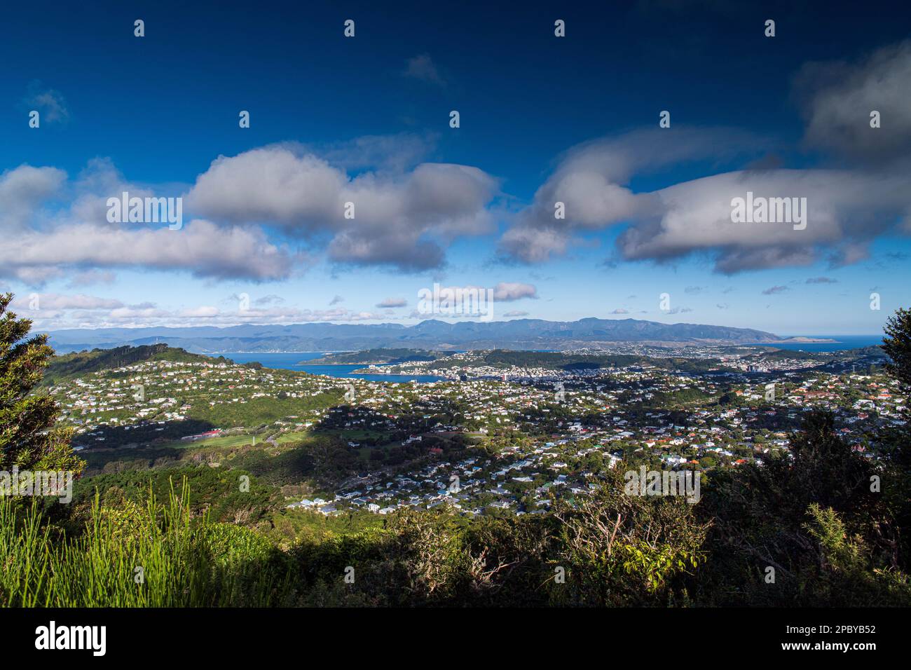 Wellington region beach hi-res stock photography and images - Alamy