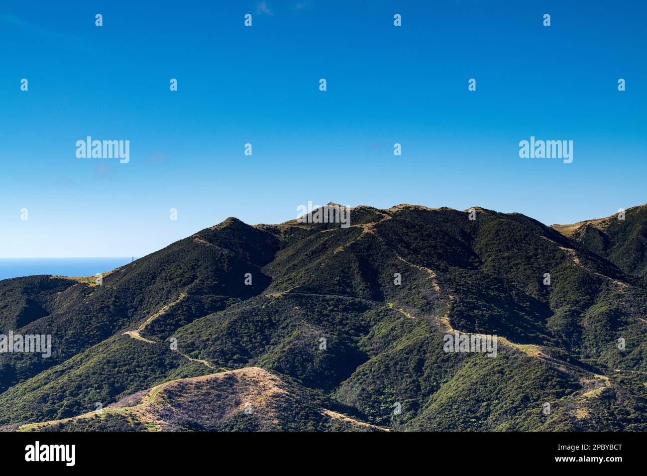 Skyline walkway wellington hi-res stock photography and images - Alamy