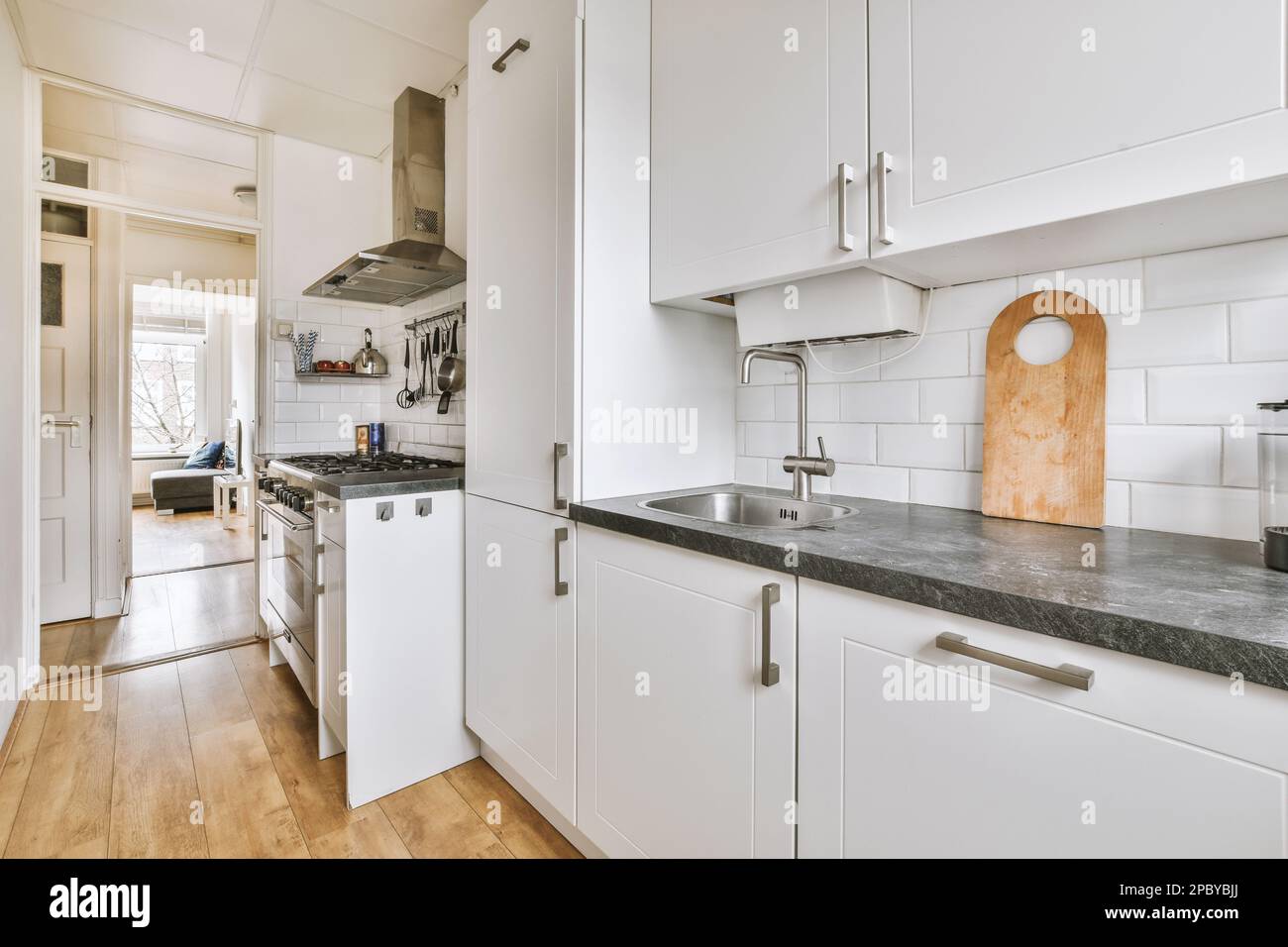 Contemporary kitchen interior with gas burner and hood with built in ...