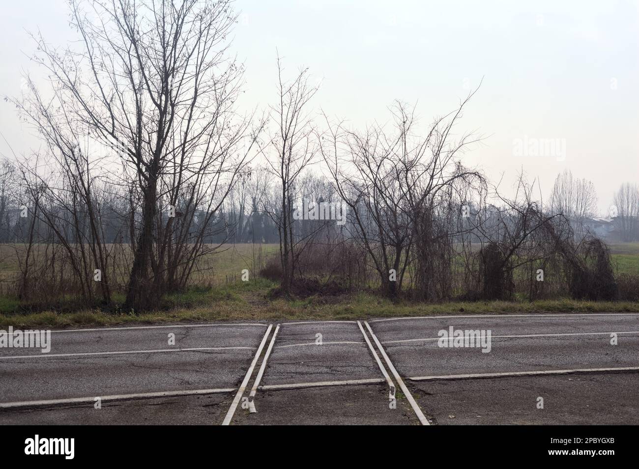 Tracks of an abandoned railroad crossing a road in the italian ...
