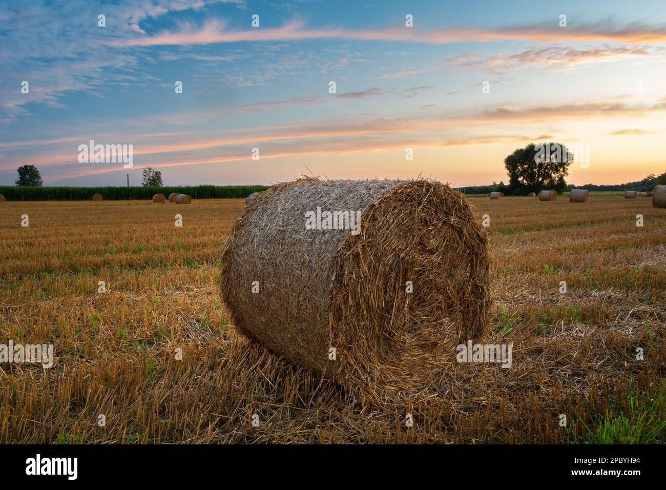 Round bale of hay in the field and the sky after sunset, Nowiny, Poland ...